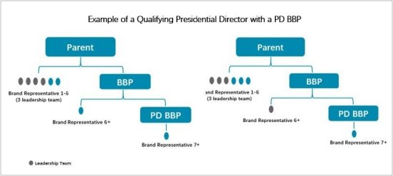 BBP與PD_BBP規則｜NU SKIN 如新台灣